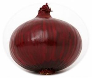 Onion - Agriculture Nigeria