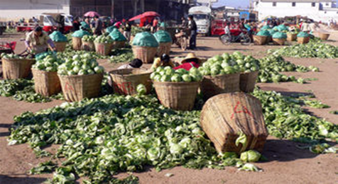 Sensational Fruit and Vegetable Handling - Agriculture Nigeria