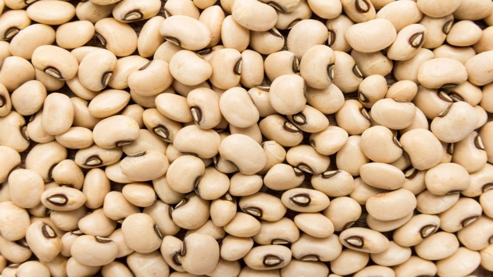 COWPEA(beans) - Agriculture Nigeria